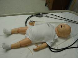 SimBaby and SimNewB > Simulation Equipment