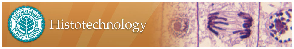Histotechnology > Academic Programs | CCHS